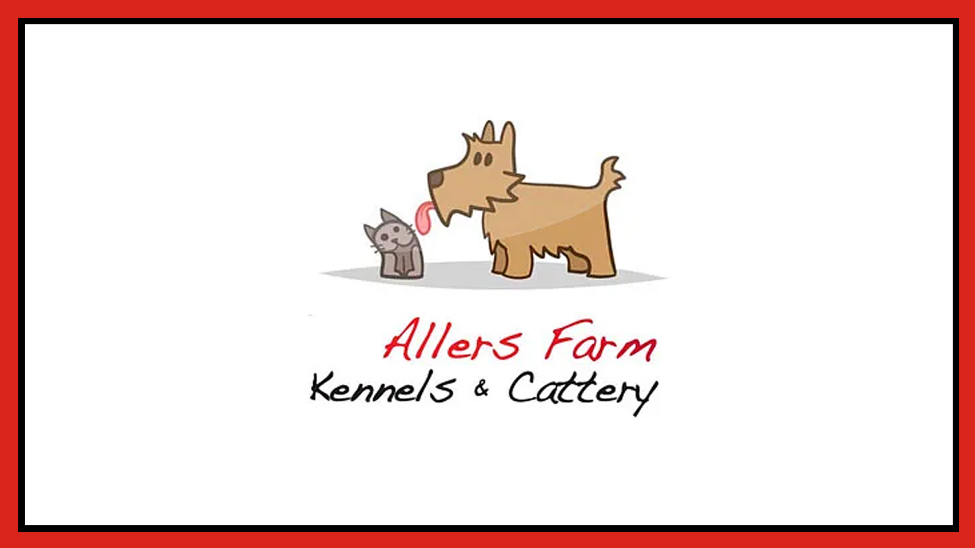 Top 5 Glasgow Boarding Kennels That Feel like Home [2026]