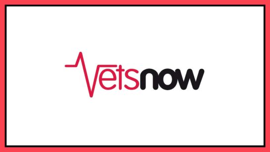 Top 5 Glasgow Animal Hospitals Pet Owners Rely On [2026 ]