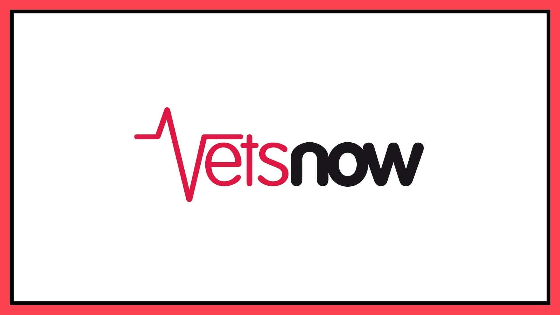 Top 5 Glasgow Animal Hospitals Pet Owners Rely On [2026 ]